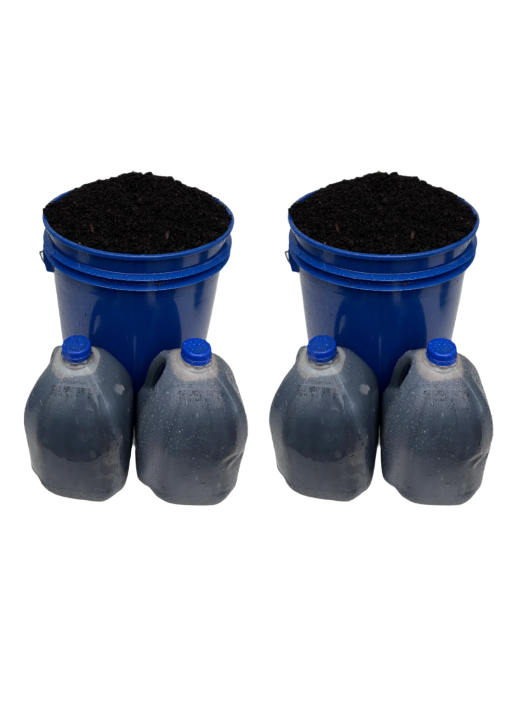 HYDRATION STATION BUNDLE – Garden Gold